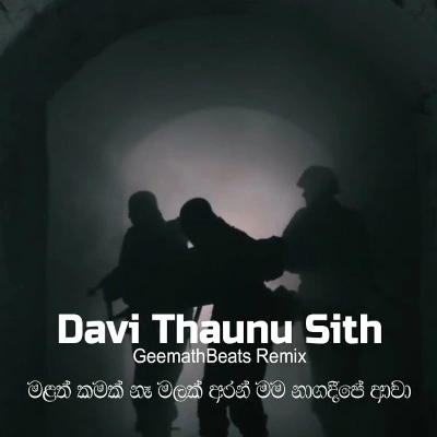 Dawee Thawunu Sith (Remix) Song Sinhala Lyrics
