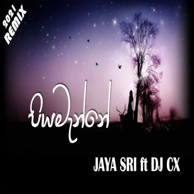 Piyamanne Aida Ese (Dj) - Jaya Sri Mp3 Download
