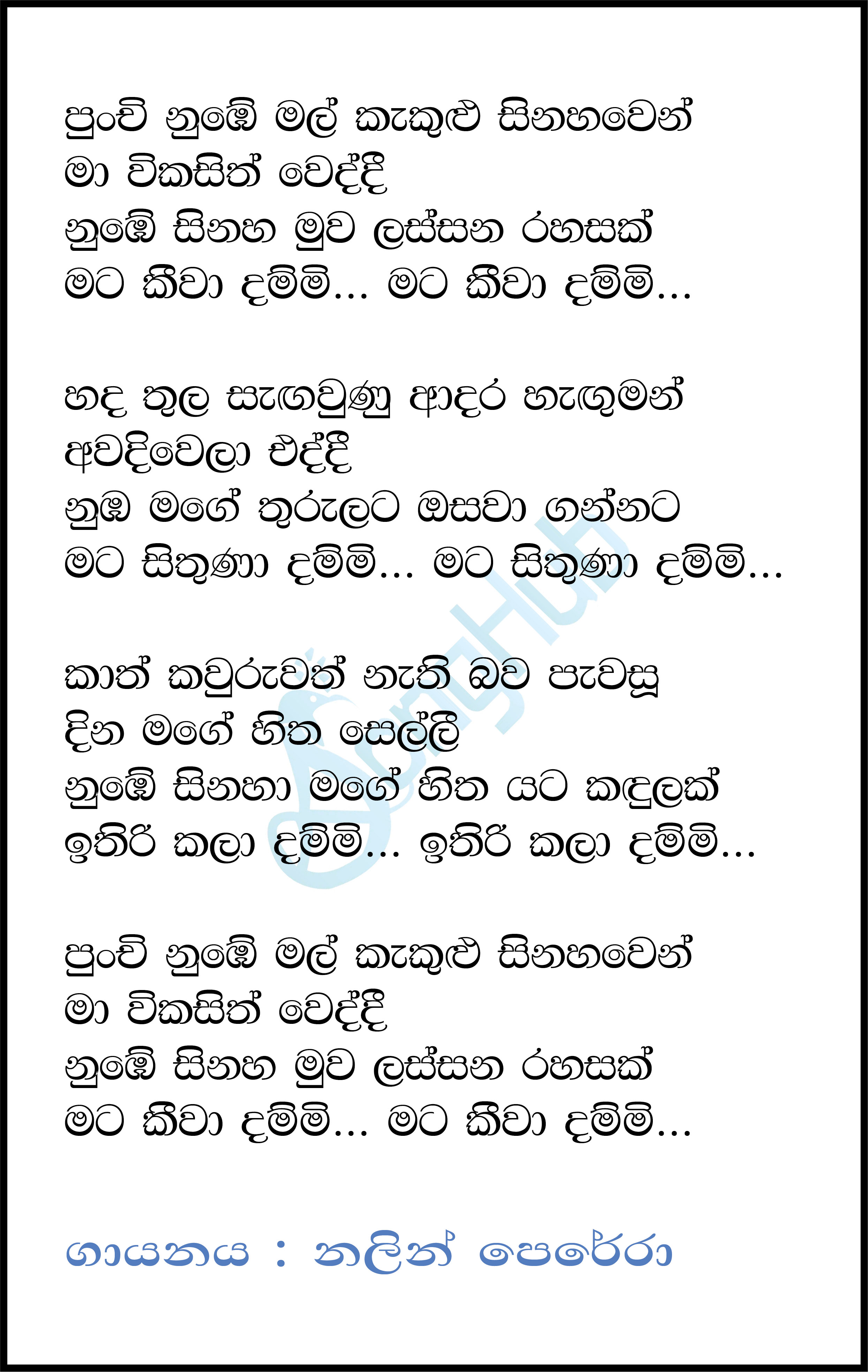 Punchi Nube Mal Kakulu Sinahawen (Dammi) Song Sinhala Lyrics