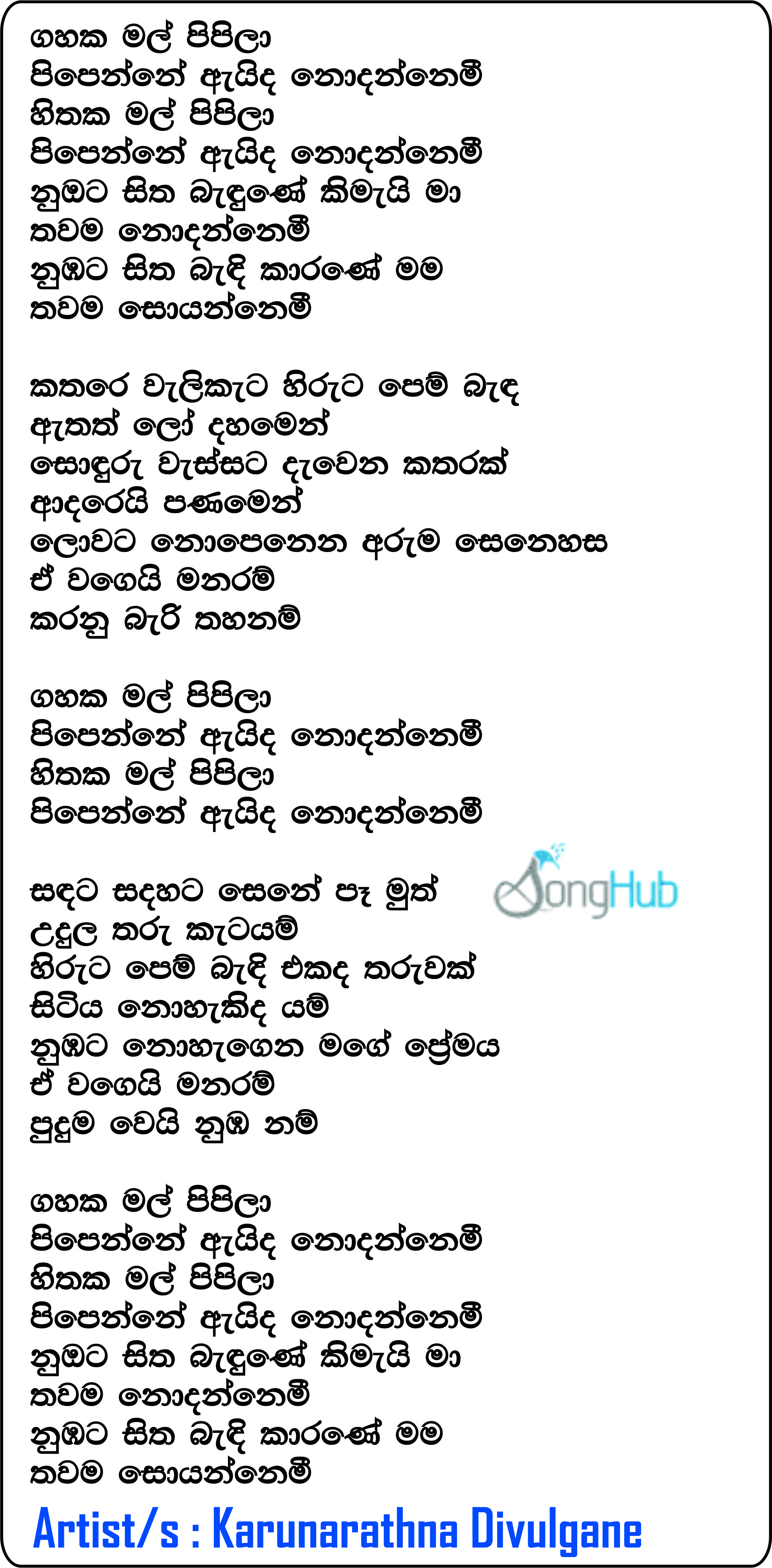 Gahaka Mal Pipila Pipenne Aida Nodannemi (Cover) Song Sinhala Lyrics